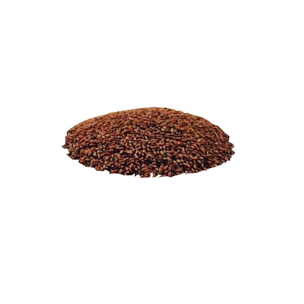 ASALIA SEED WHOLE - Marlin Herbs
